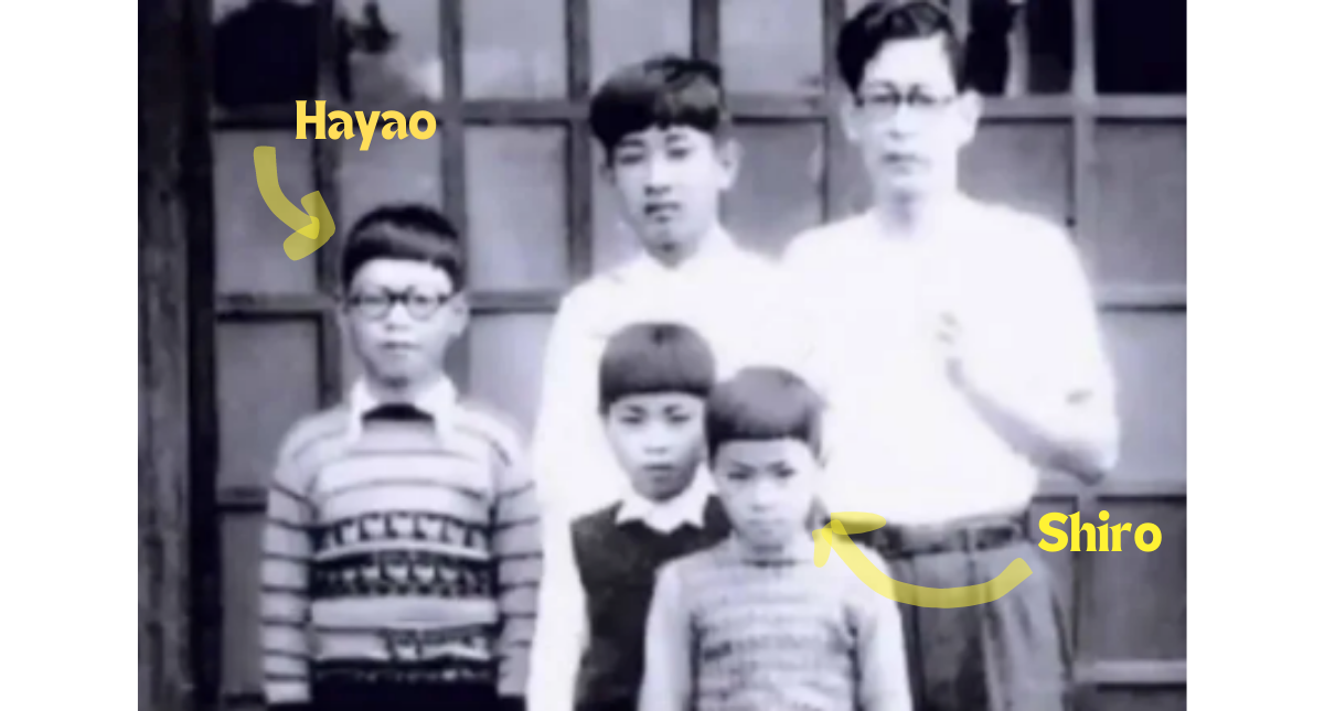 Learn about all the films--Nausicaa, Castle in the Sky, Totoro, Kiki's ...